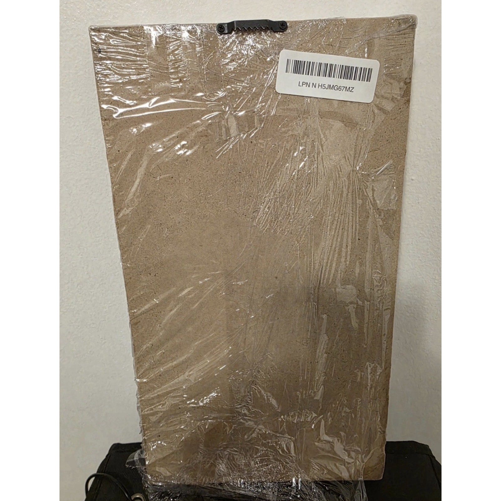 FHEB1224 - Real Exotic Insects Mixed Taxidermy Specimens Asian Beetles